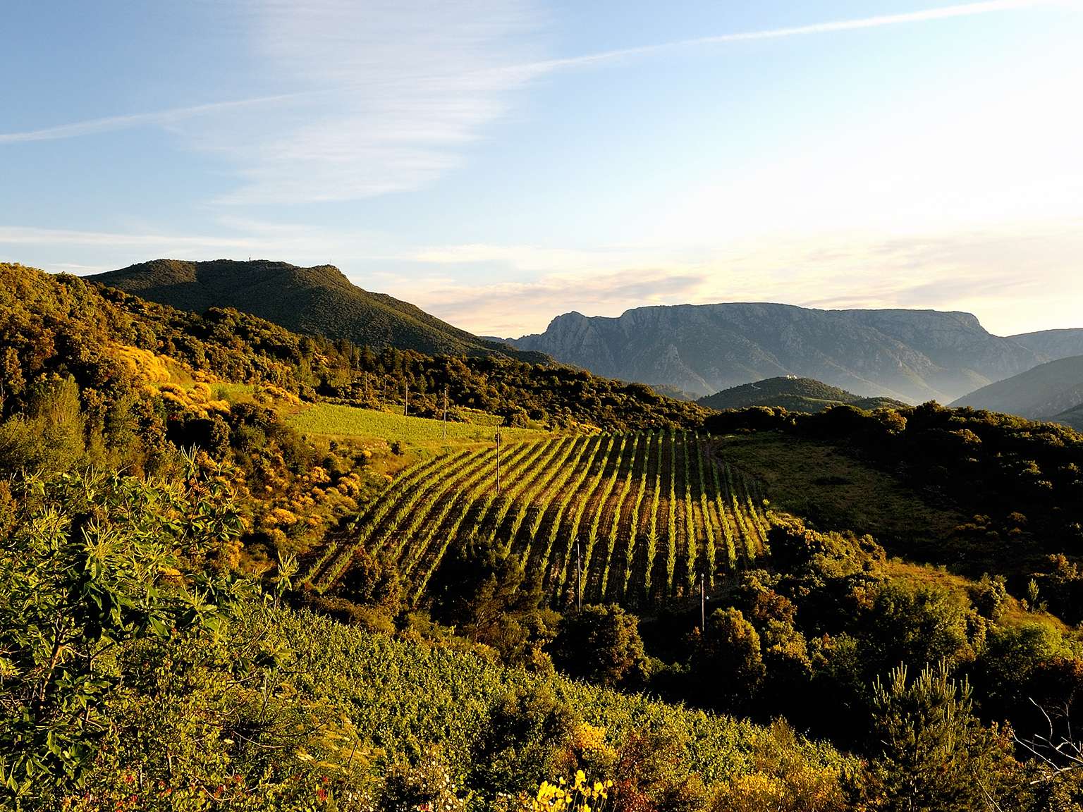 Languedoc – village guide, location and local information