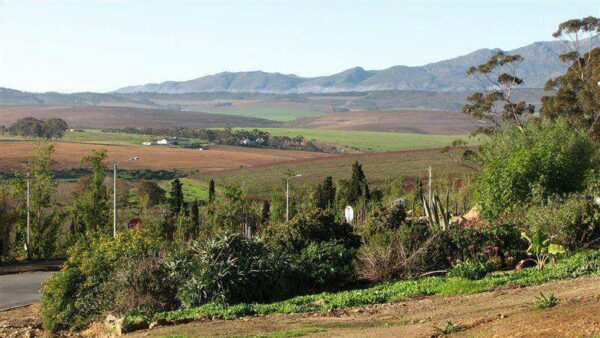 Bot Rivier, wetlands, wild horses and a great trail challenge | Colour ...