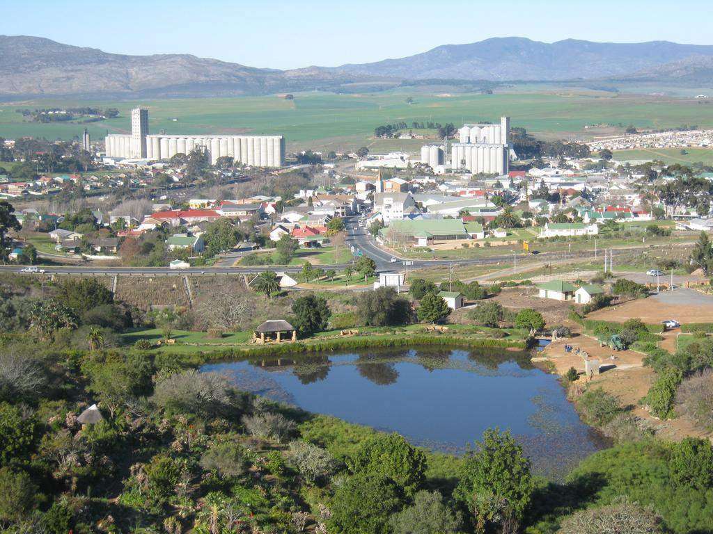 Camps Bay | Colour Dots Camps Bay