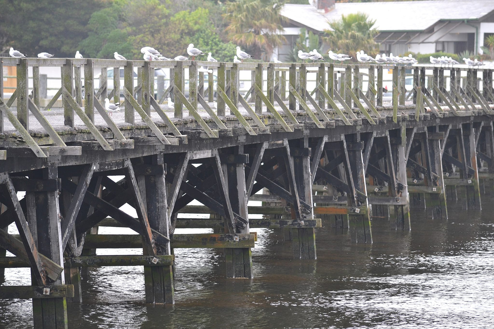 Milnerton, An iconic market and a great view| Colour Dots milnerton