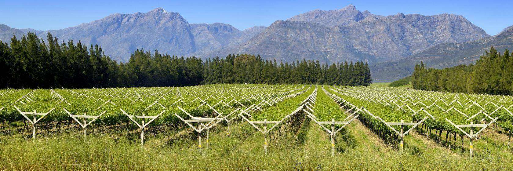 Saron 3 interesting facts about this village | Colour Dots Saron