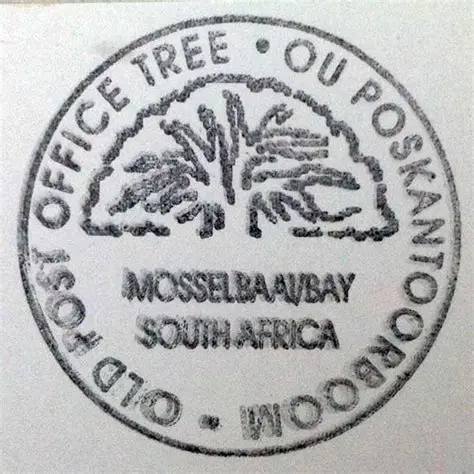 Mossel Bay Western Cape – town information, services and facilities