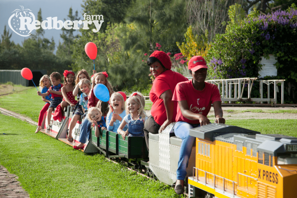 Redberry farm maze and mini train | Colour Dots Redberry farm maze