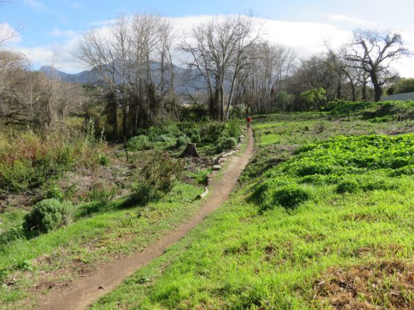 Constantia 5 interesting historical things to see| Colour Dots Constantia