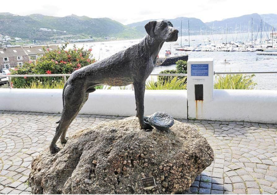 The Story of Just Nuisance | Colour Dots The Story of Just Nuisance