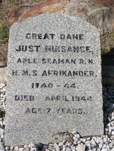 The Story of Just Nuisance | Colour Dots The Story of Just Nuisance