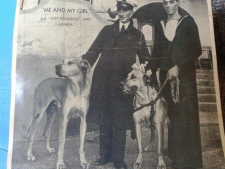 The Story of Just Nuisance | Colour Dots The Story of Just Nuisance