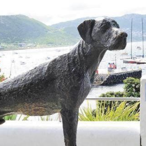 The Story of Just Nuisance | Colour Dots The Story of Just Nuisance