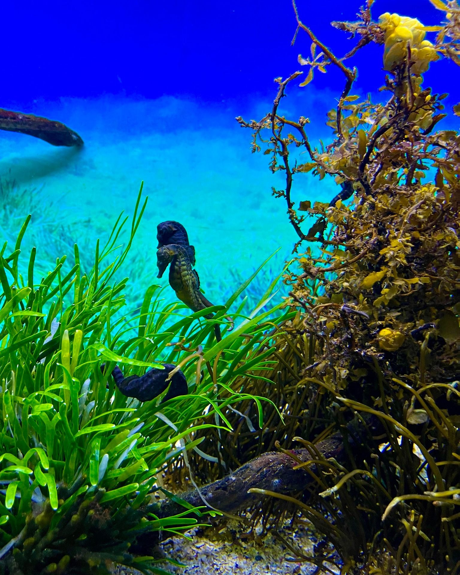 The Two Oceans Aquarium | Colour Dots The Two oceans aquarium at the v ...