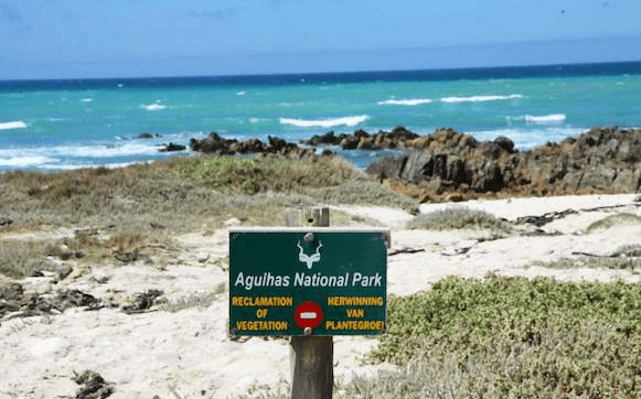 Agulhas National Park Nature Reserve is 1 fascinating place to visit ...