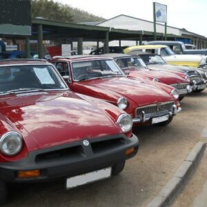 Sedgefield Classic Cars | Colour Dots Sedgefield Classic Cars