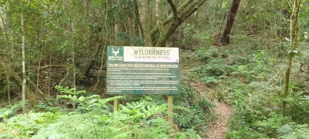 Wilderness nature reserve | Colour Dots Wilderness nature reserve