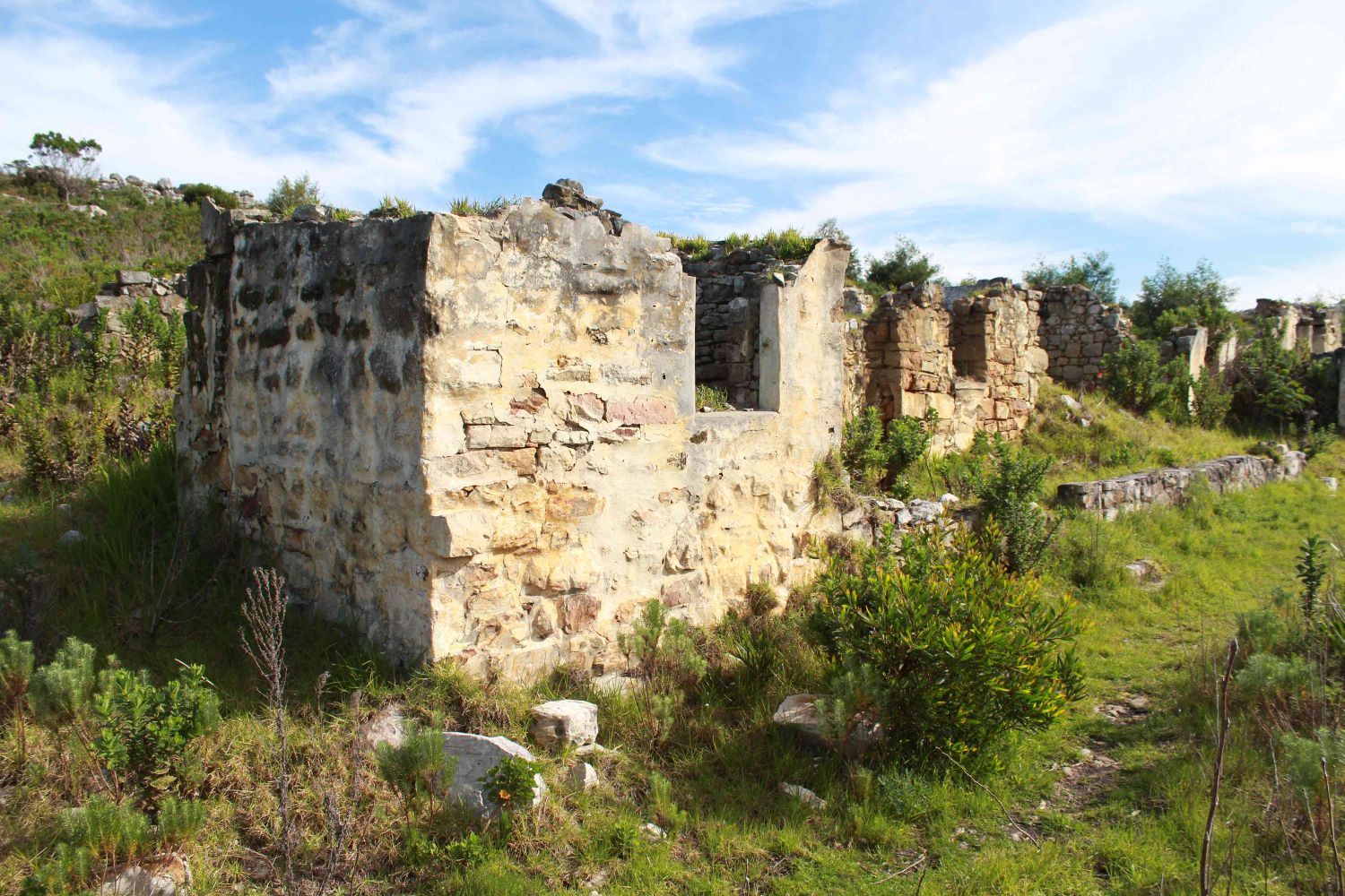The Red Hill Village | Colour Dots The Red Hill Village