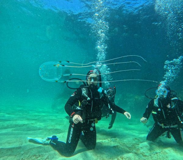 Into The Blue Scuba Dive Centre | Colour Dots
