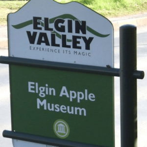 Elgin apple Museum | Colour Dots Elgin apple Museum