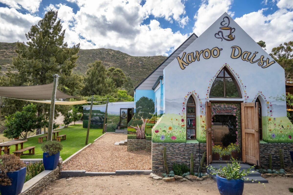 Karoo Daisy | Colour Dots Karoo Daisy