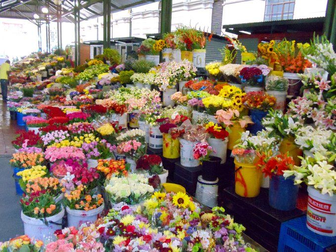 Adderley Street Flower Market | Colour Dots Adderley street Flower market