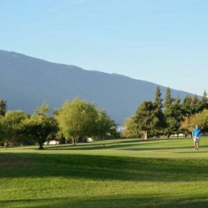 Hex Valley Golf Club | Colour Dots Hex Valley Golf Club