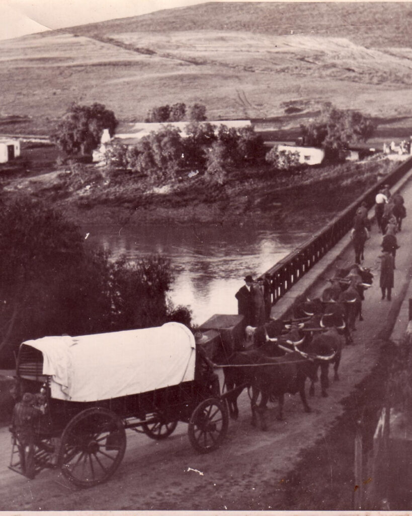 The Old Iron Bridge amazing story of a bridge left behind | Colour Dots ...