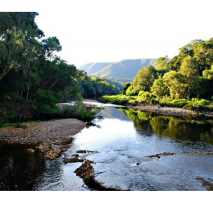 The Groot River important river feeding Floriskraal dam| Colour Dots ...