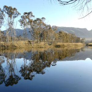 The Klein River | Colour Dots The Klein River
