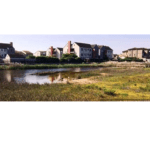 Milnerton Racecourse | Colour Dots