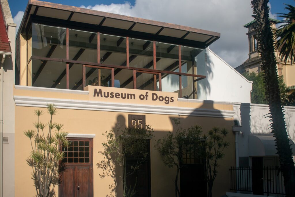 Museum of Dogs great 1 of a kind exhibit