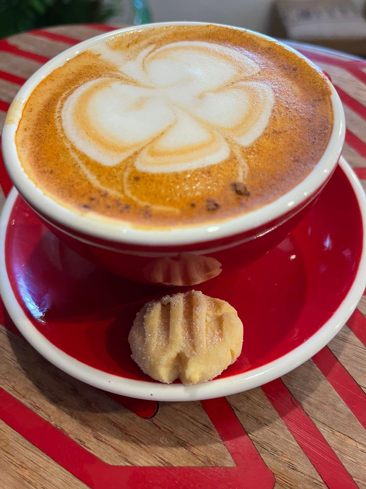 Wings Coffee Roasters | Colour Dots