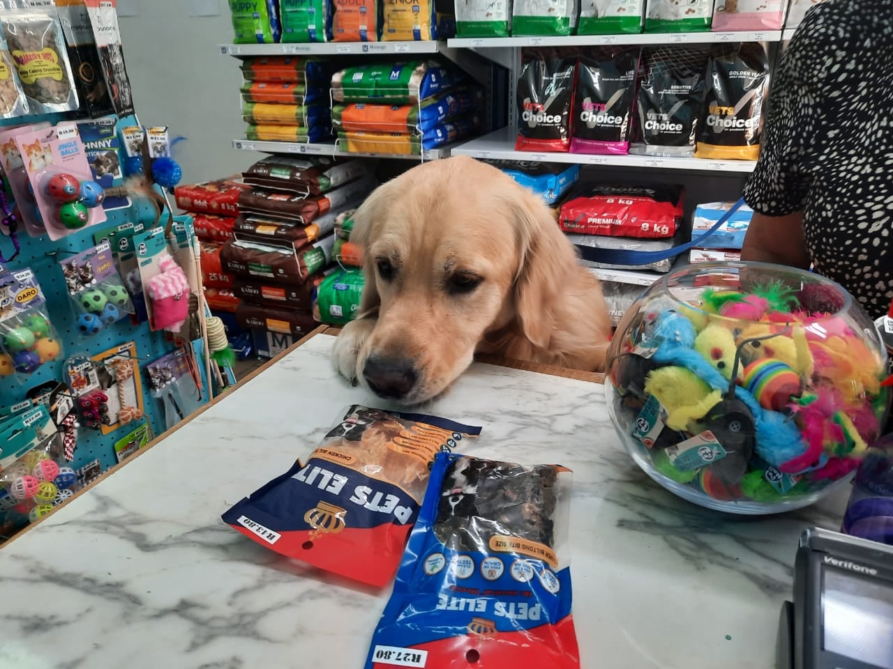 Paw Paradise Vet shop | Colour Dots