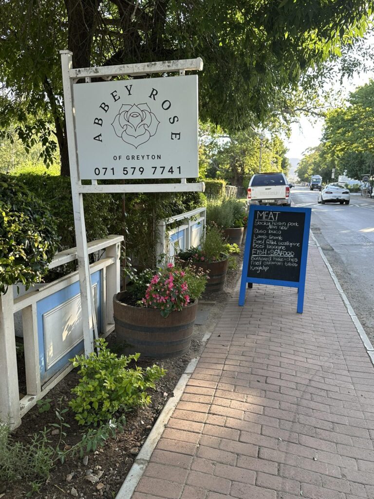 Abbey Rose | Colour DotsAbbey Rose